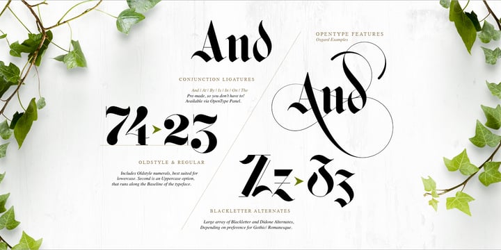 Osgard Font | Webfont & Desktop | MyFonts