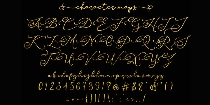 Raregold Script Font | Webfont & Desktop | MyFonts