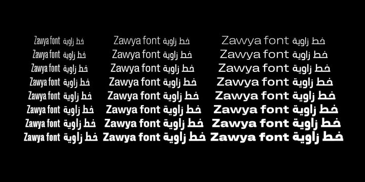 Zawya Pro Arabic Font | Webfont & Desktop | MyFonts