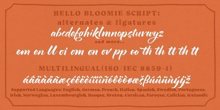 Hello Bloomie Font | Webfont & Desktop | MyFonts