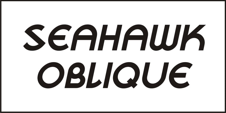 Seahawk JNL Font | Webfont & Desktop | MyFonts