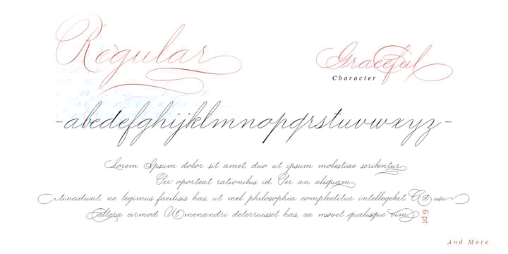 Graceful Font | Webfont & Desktop | MyFonts