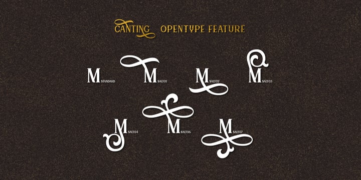 Canting Font | Webfont & Desktop | MyFonts