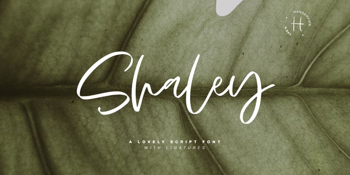 Shaley Font | Webfont & Desktop | MyFonts