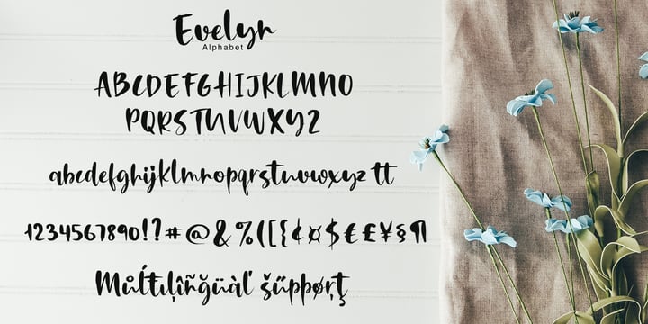 Evelyn Font | Webfont & Desktop | MyFonts