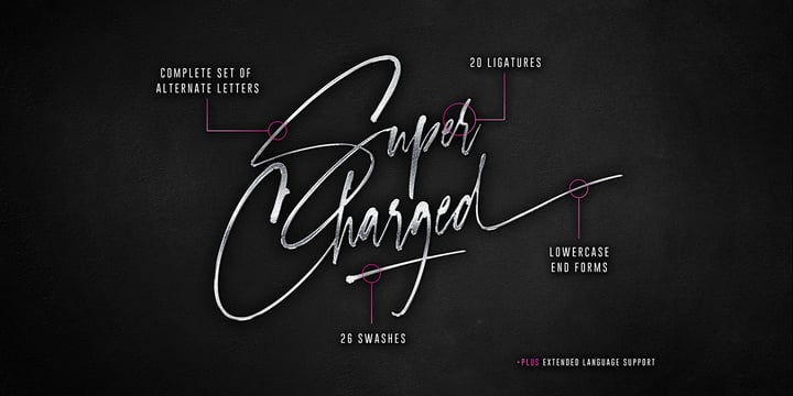 Checkmark Font | Webfont & Desktop | MyFonts