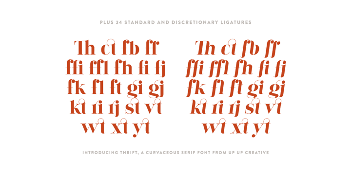 Thrift Font | Webfont & Desktop | MyFonts