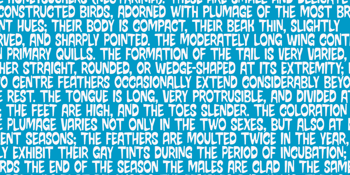 Pind-O-Rama Font | Webfont & Desktop | MyFonts