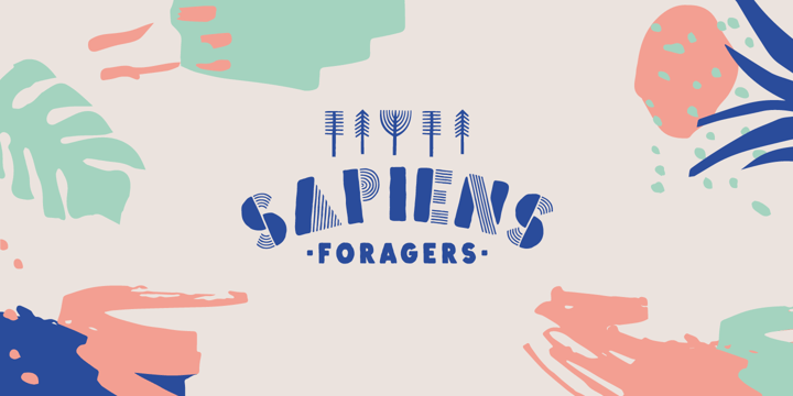 Sapiens Font | Webfont & Desktop | MyFonts