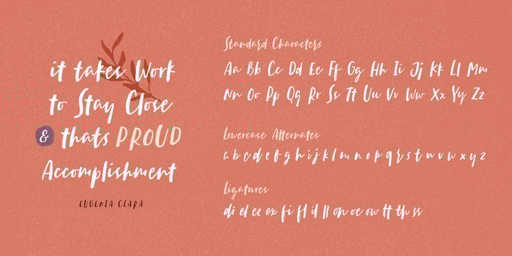 Sachie Script Font | Webfont & Desktop | MyFonts