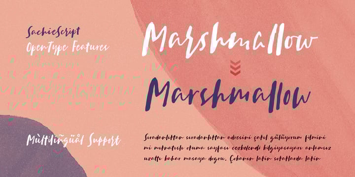 Sachie Script Font | Webfont & Desktop | MyFonts