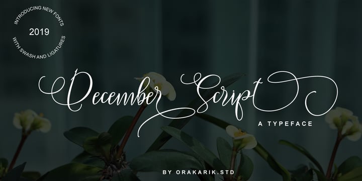 December Font | Webfont & Desktop | MyFonts