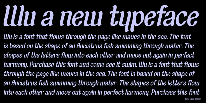 Wu Font | Webfont & Desktop | MyFonts