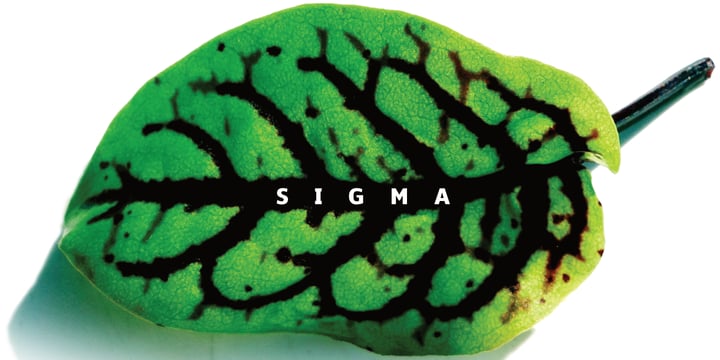 Sigma Font | Webfont & Desktop | MyFonts