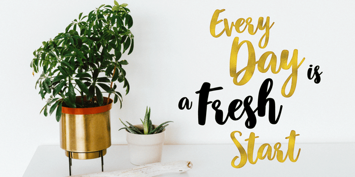 Violet Font | Webfont & Desktop | MyFonts