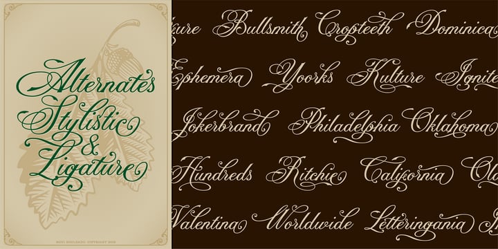 NS Champtone Font | Webfont & Desktop | MyFonts