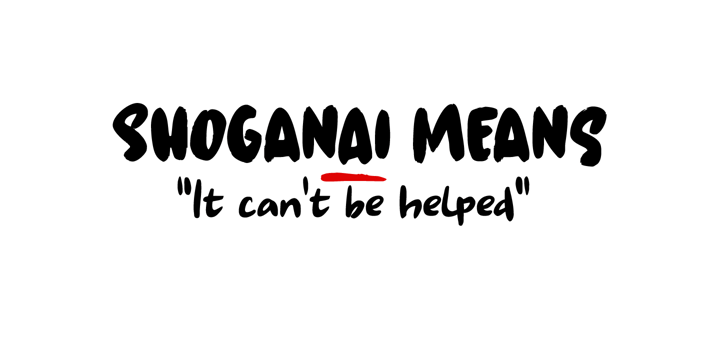 Shoganai Font | Webfont & Desktop | MyFonts