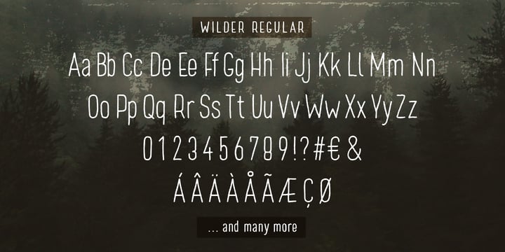 Wilder Font | Webfont & Desktop | MyFonts