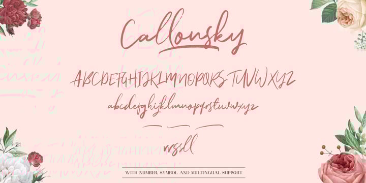 Callonsky Script Font | Webfont & Desktop | MyFonts