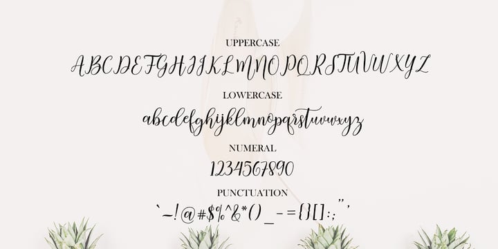 Shahira Script Font | Webfont & Desktop | MyFonts