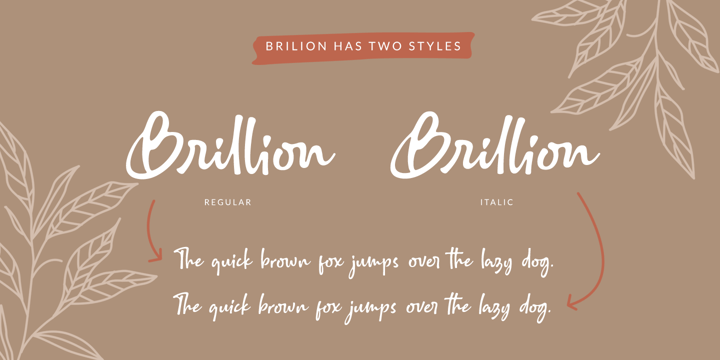 Brillion Font | Webfont & Desktop | MyFonts