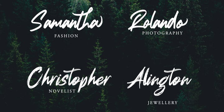 Dignity Font | Webfont & Desktop | MyFonts