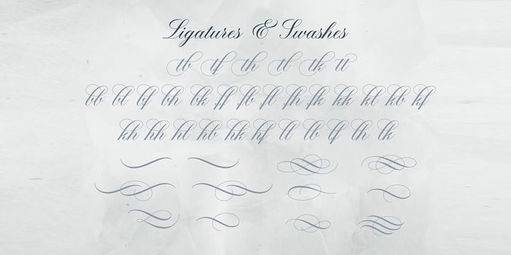 Brachetto Font | Webfont & Desktop | MyFonts