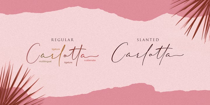 Cherolina Font | Webfont & Desktop | MyFonts