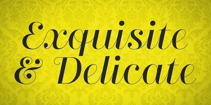 Didonesque Script Font | Webfont & Desktop | MyFonts