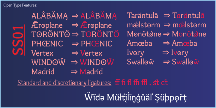 Axeo Font | Webfont & Desktop | MyFonts