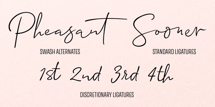 Allison Script Font | Webfont & Desktop | MyFonts