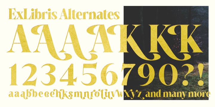 Ex Libris Font | Webfont & Desktop | MyFonts