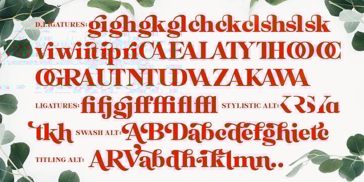 Felicity Font | Webfont & Desktop | MyFonts