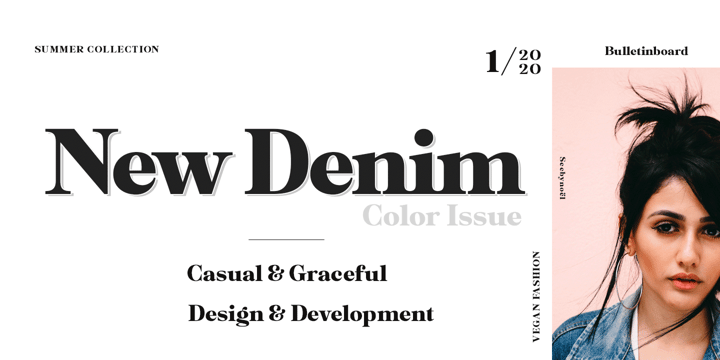 Felicity Font | Webfont & Desktop | MyFonts