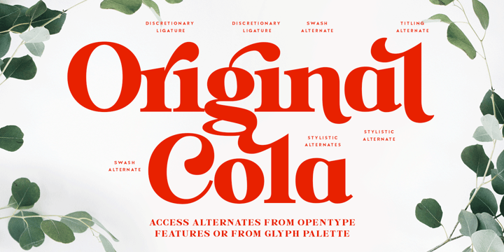 Felicity Font | Webfont & Desktop | MyFonts