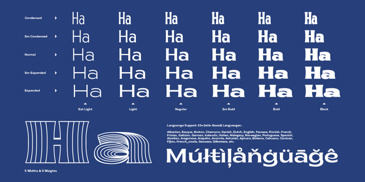 Brice Font | Webfont & Desktop | MyFonts