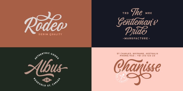 Chanide Script Font | Webfont & Desktop | MyFonts
