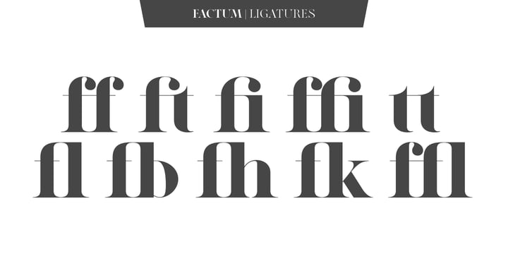 Factum Font | Webfont & Desktop | MyFonts