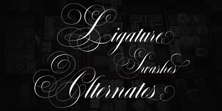 Pouri Font | Webfont & Desktop | MyFonts