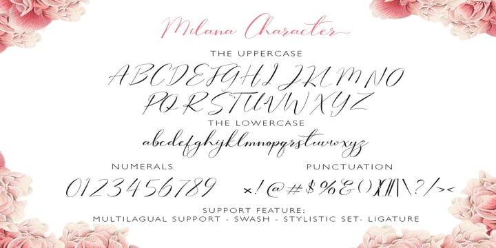 Milana Font | Webfont & Desktop | MyFonts