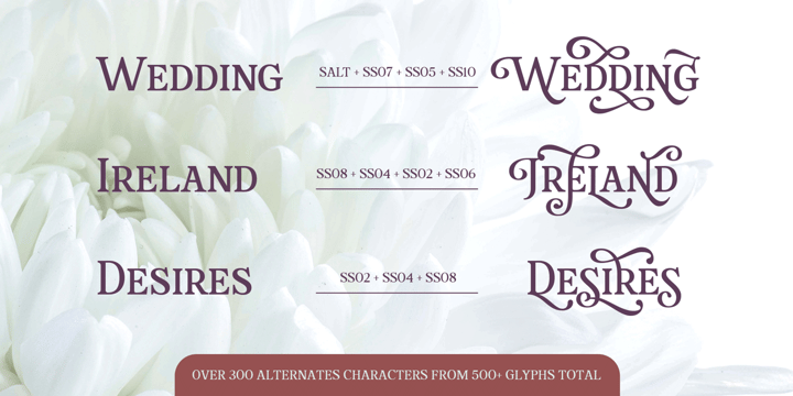 Savaneta Font | Webfont & Desktop | MyFonts