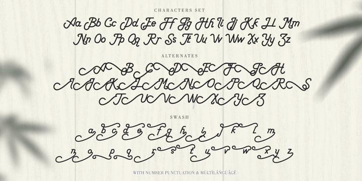 Anderson Silva Font | Webfont & Desktop | MyFonts