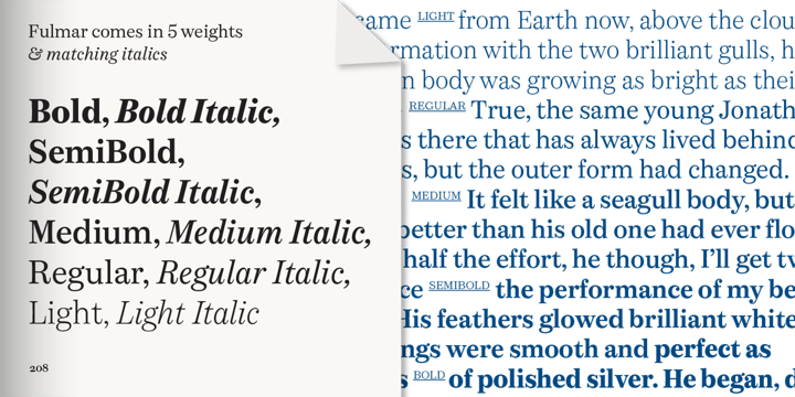 Fulmar Font | Webfont & Desktop | MyFonts