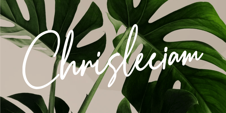 Docherty Font | Webfont & Desktop | MyFonts