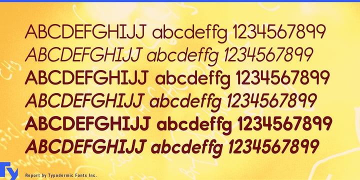 Report Font | Webfont & Desktop | MyFonts