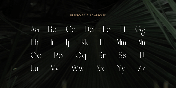 Prestigious Font | Webfont & Desktop | MyFonts