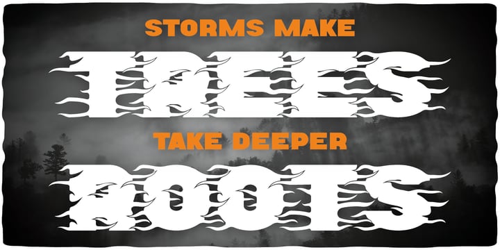 Roots Font | Webfont & Desktop | MyFonts