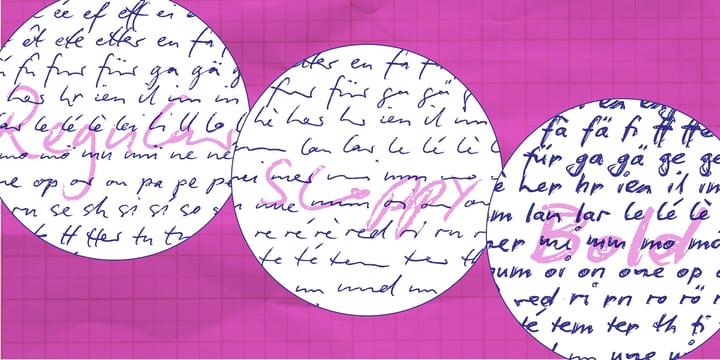 Biro Script Plus Font | Webfont & Desktop | MyFonts