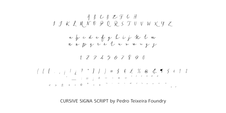 Cursive Signa Script Font | Webfont & Desktop | MyFonts