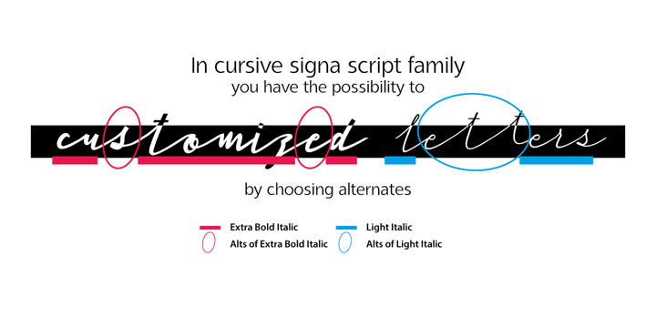 Cursive Signa Script Font | Webfont & Desktop | MyFonts